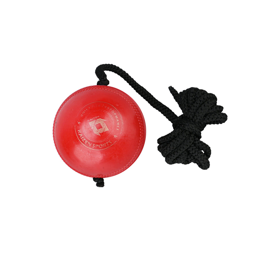 CRICKET HANGING BALL – KAIZEN SPORTS